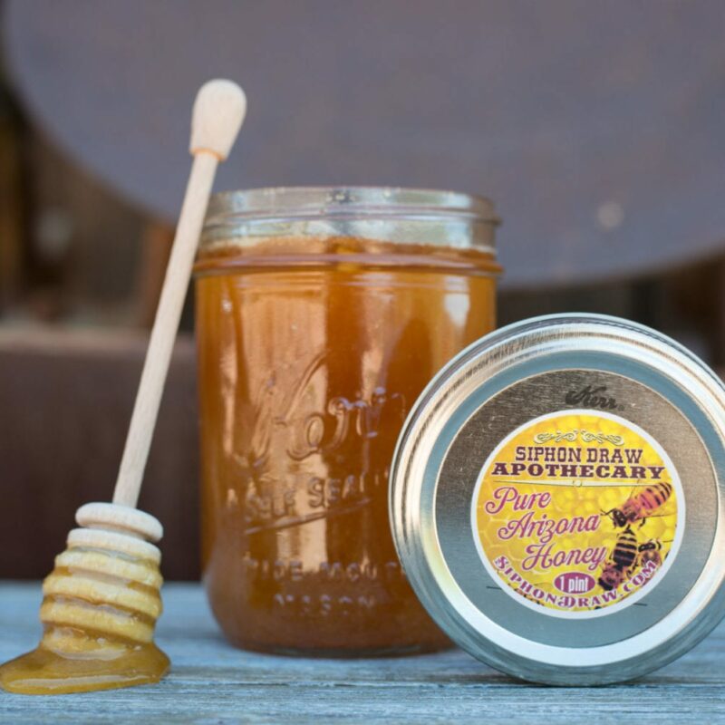 Prickly Pear Lip Balm - Siphon Draw Apothecary