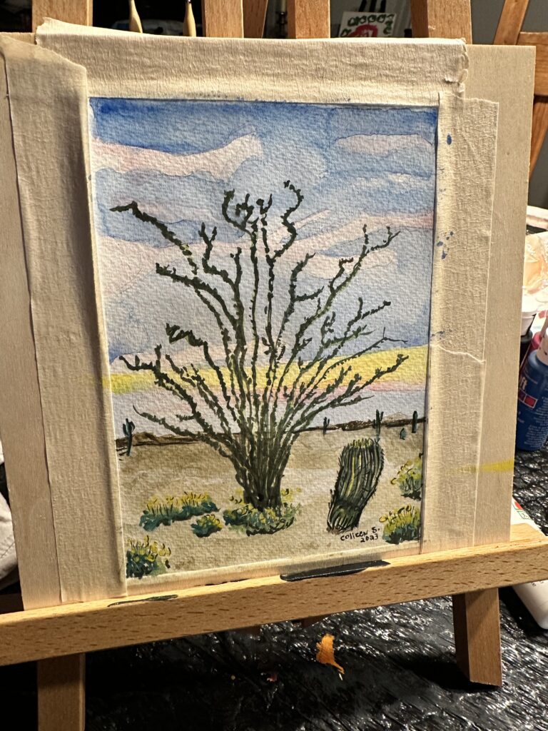 Ocotillo Saguaro & Brittle Bush #1003 - Siphon Draw Apothecary